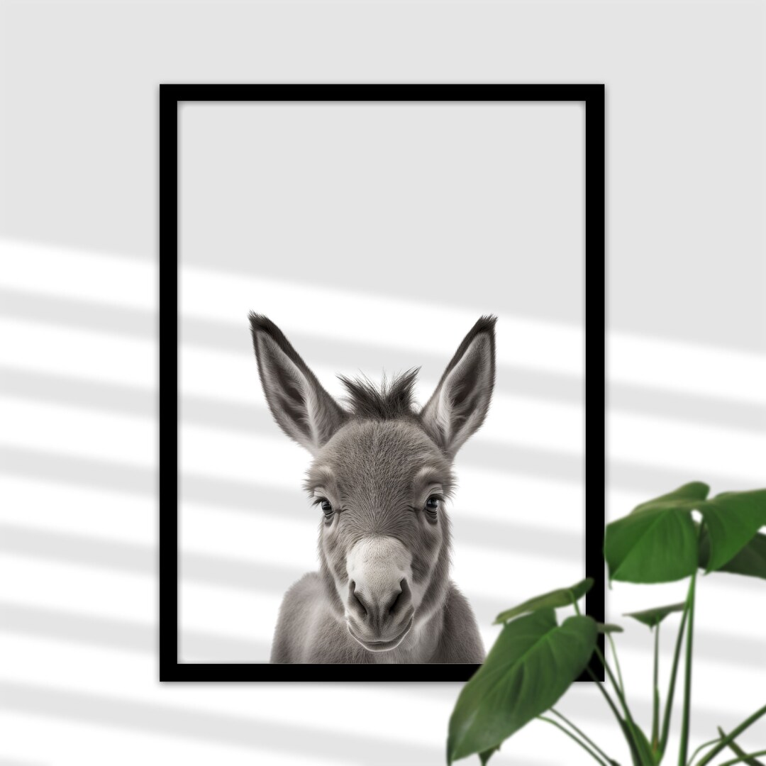 Baby Donkey Mural Photo for Kids Room Farm Animal Picture - Etsy