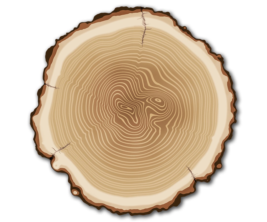 Personalized, Custom Shape Hardboard Trivet. Use to Hold Hot Pans and ...