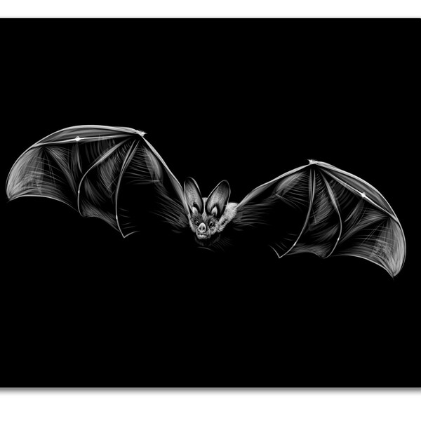 Bat Desk Pad - Etsy