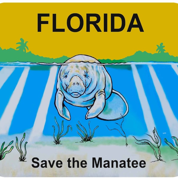 Florida Manatee - Etsy