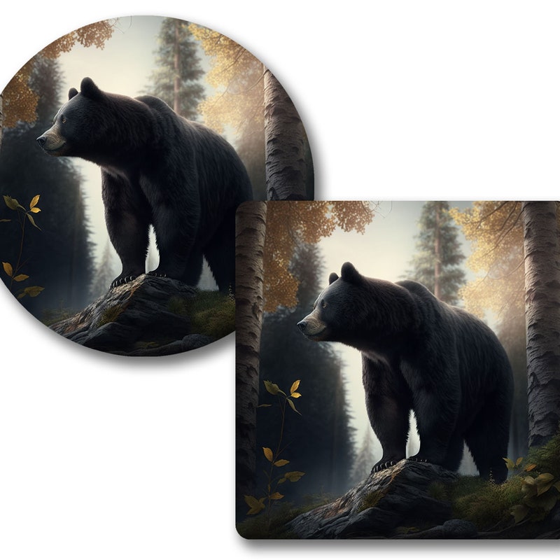 Bear Coasters - Etsy