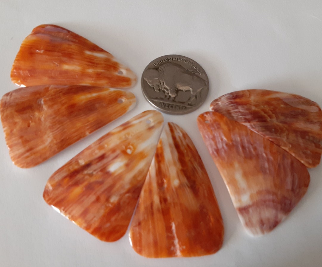 Spiny Oyster Shell Extraordinary Colors 3 Pair 6 Pieces Earring ...