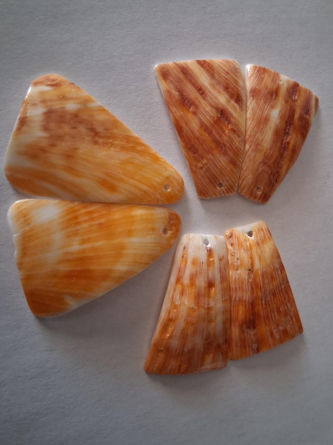 Spiny Oyster Shell 3 Pair Earring/pendants Unique BEAUTIFUL Colors - Etsy