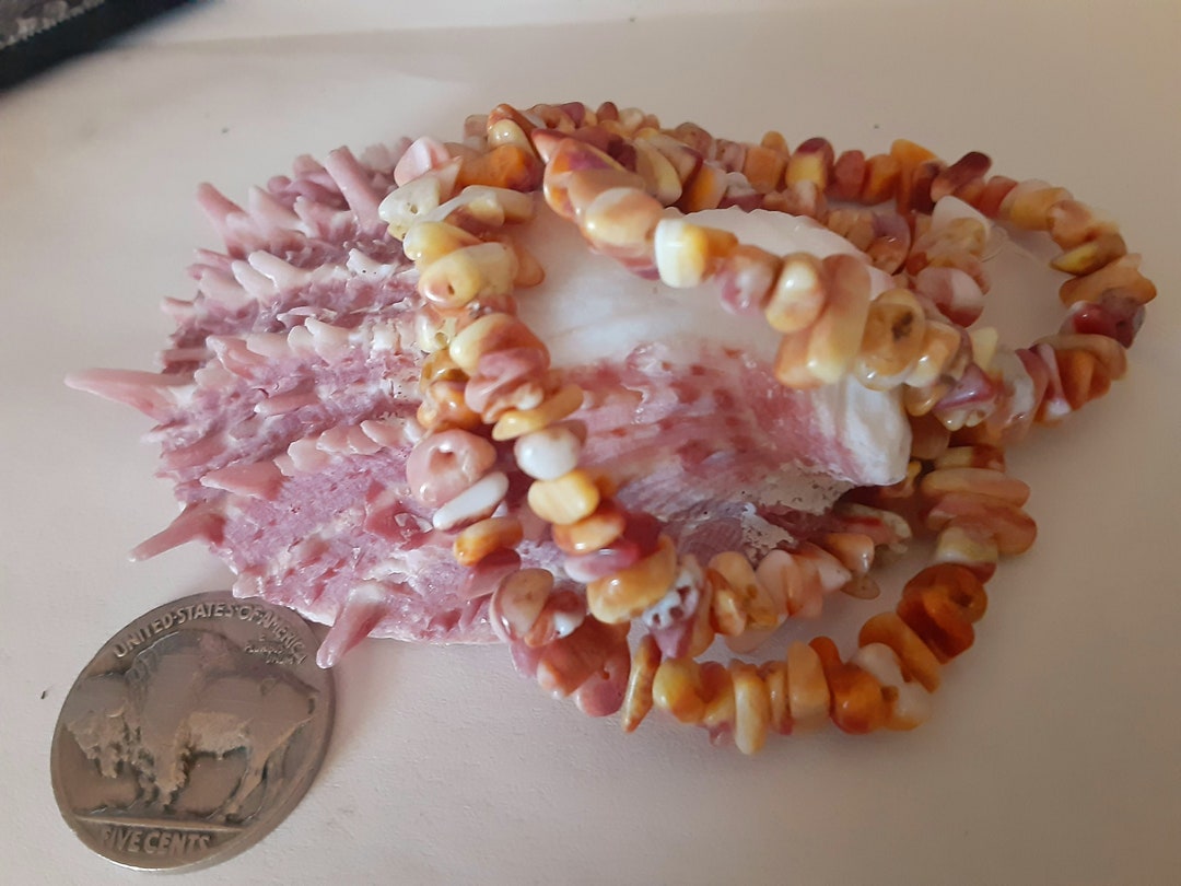 Spiny Oyster Half Shell & Spiny Oyster Multi Color Nugget Strand - Etsy