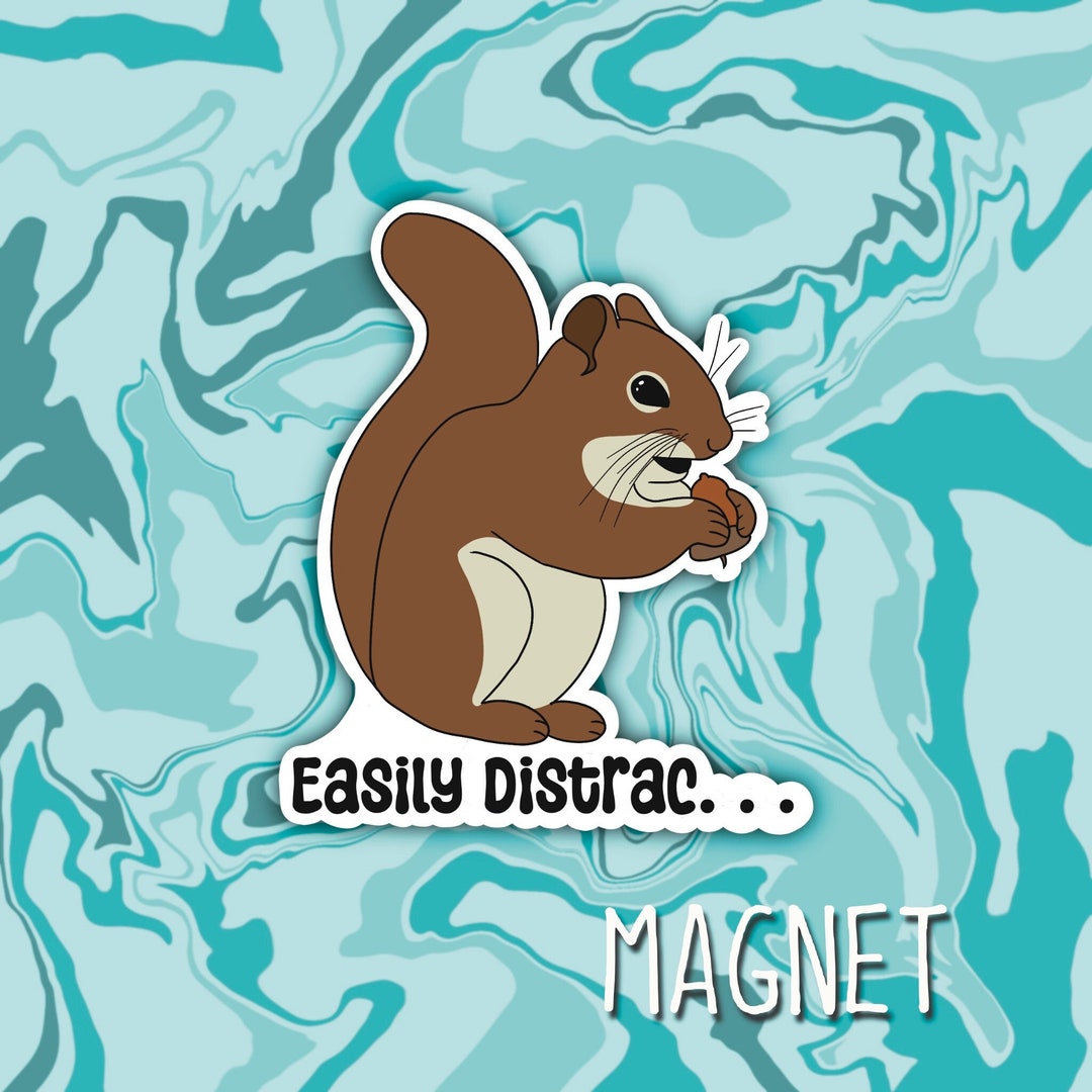 Magnet: Easily Distracted Magnet Cute Squirrel Funny ADHD Magnet - Etsy