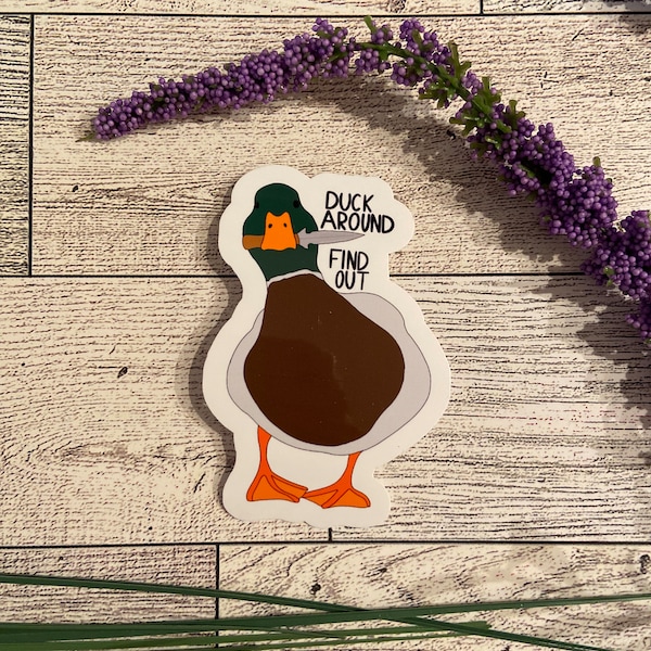 Duck Around and Find Out Svg - Etsy