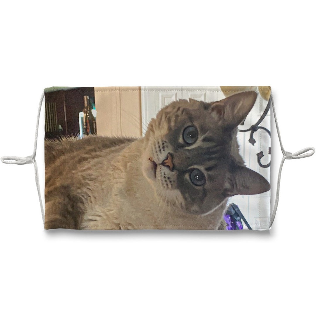 Face Mask Adjustable W/filter - Siamese Cat - Etsy