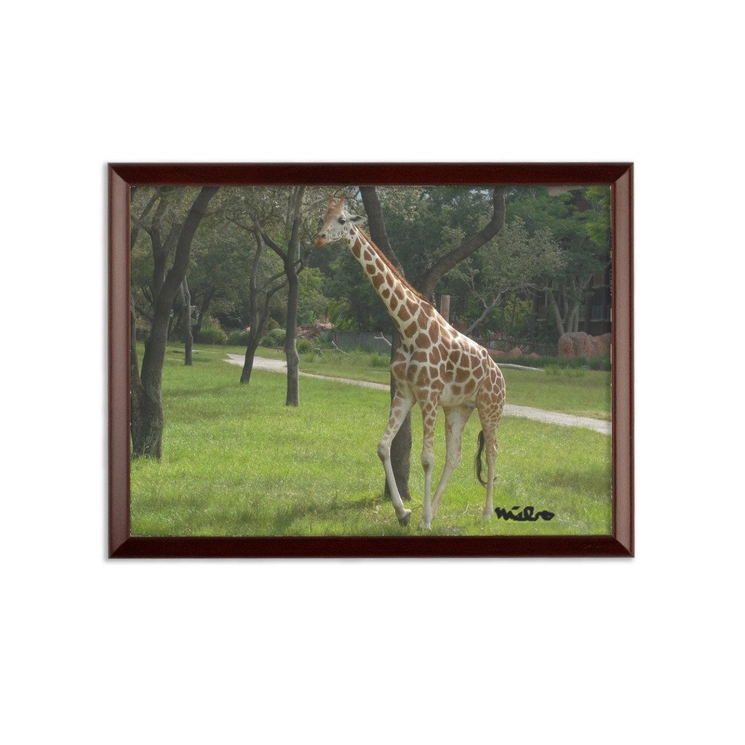 Jeffrey Giraffe Sublimation Wall Plaque - Etsy