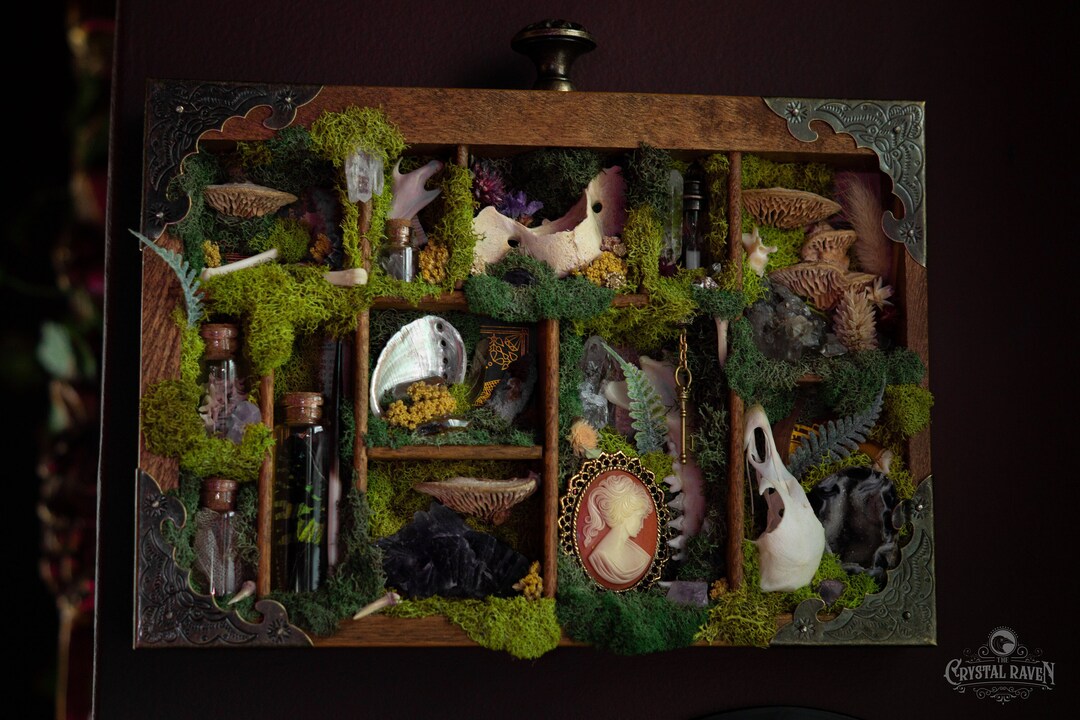 Mini Oddities Shadow Box - Dark Academia - Cottagecore - Goblincore ...