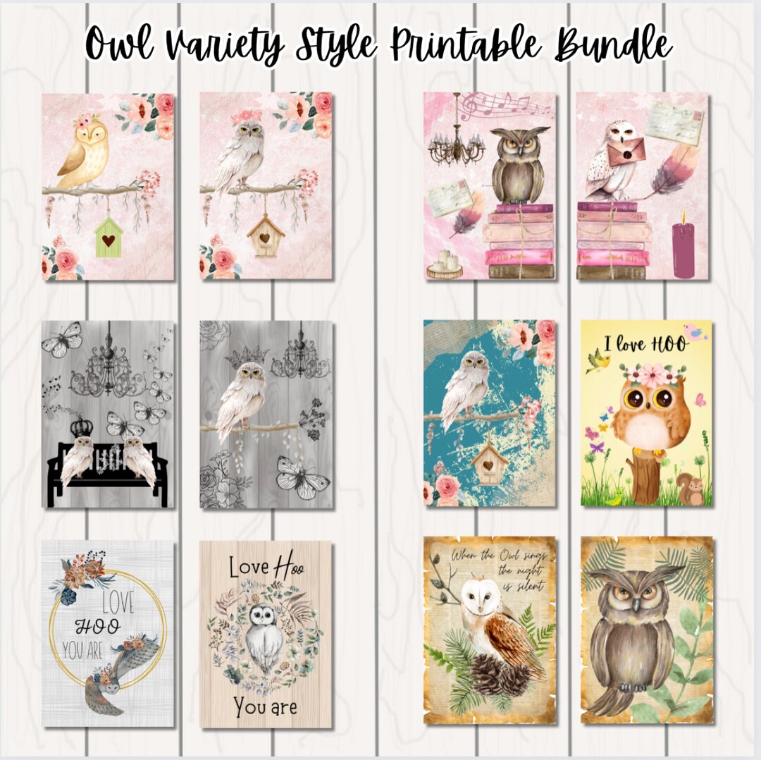 Owl Variety Printable Bundle | Feathered Owl Birds | Crafting Paper ...