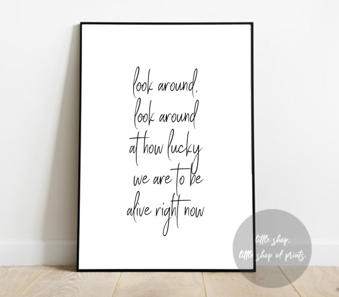 Hamilton the Musical Inspired Poster Musical Theatre Lyrics - Etsy