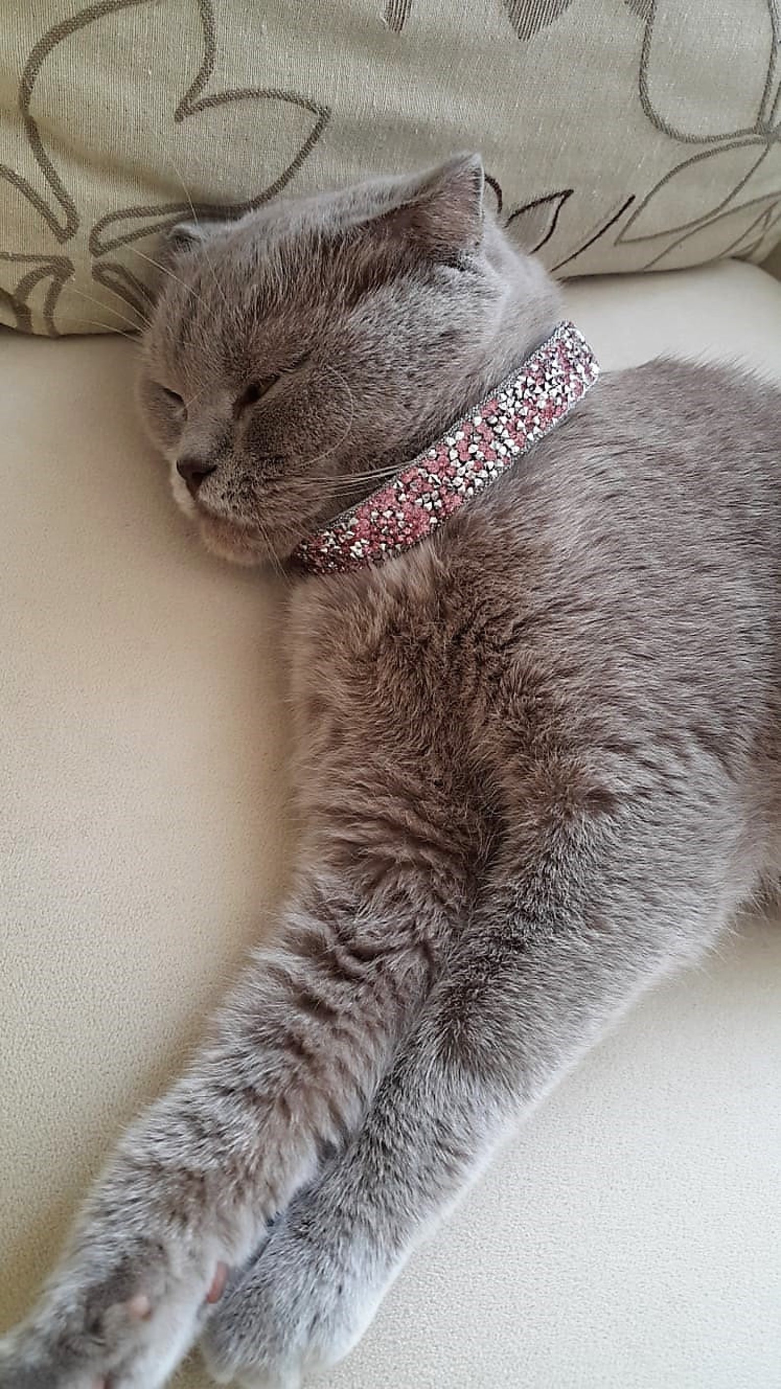 Pink Bling Cat Collar Bling Dog Collar Rhinestone Pet | Etsy