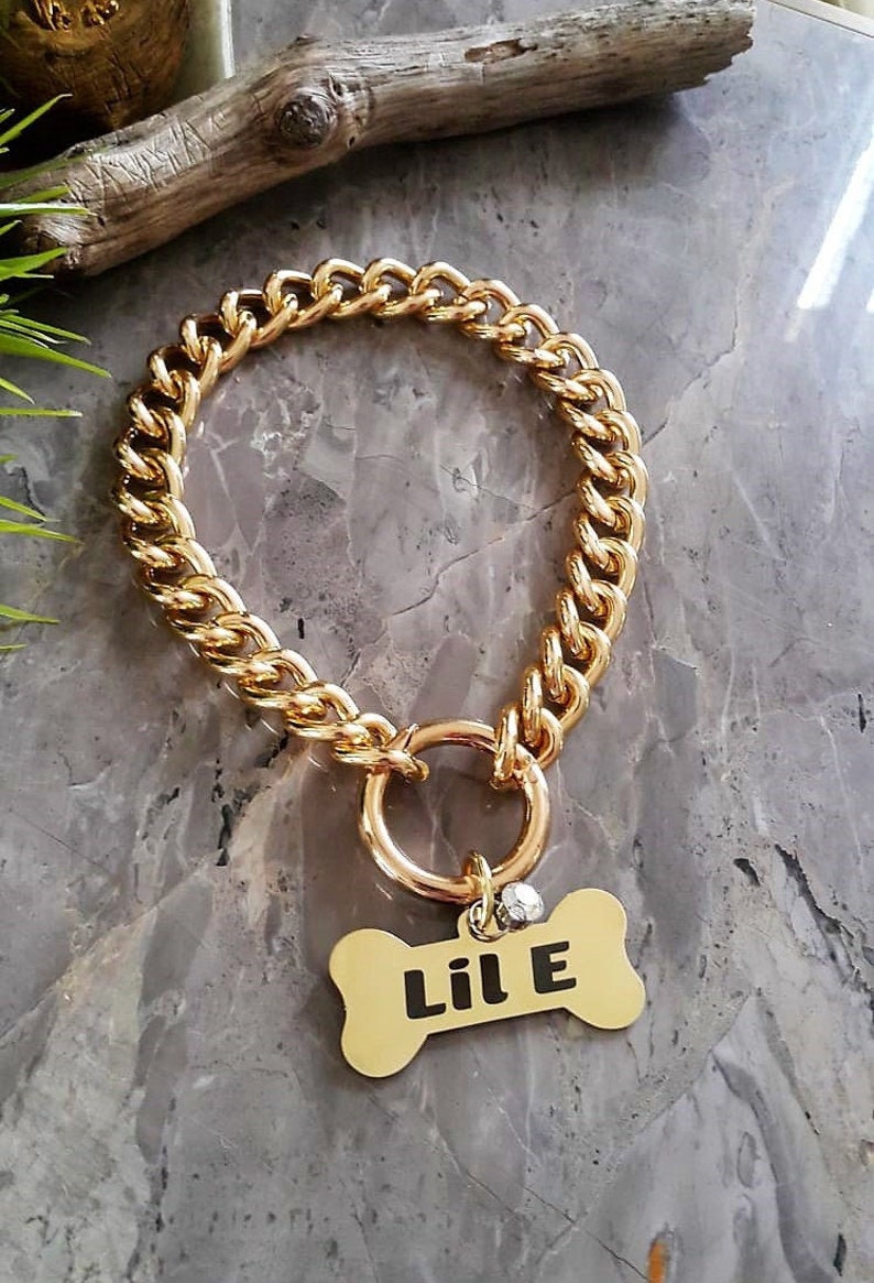 Gold Chain Dog Collar & Steel Bone Shaped Name Tag Pet Chain | Etsy