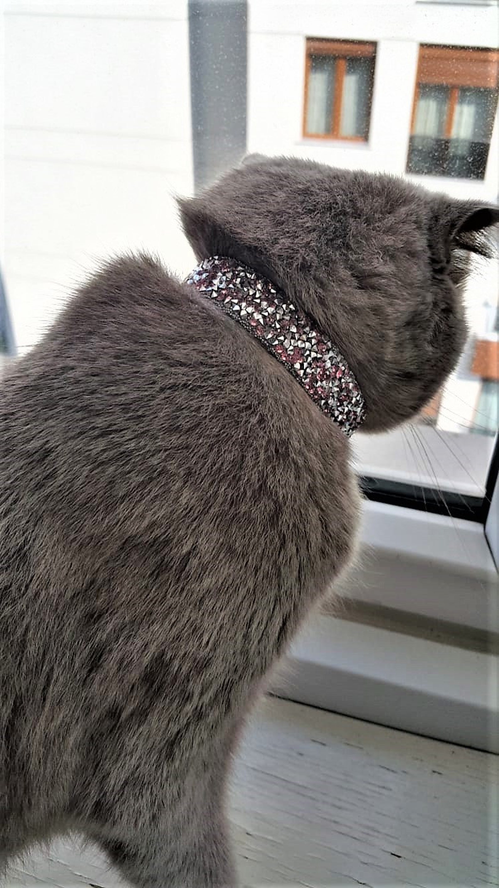 Pink Bling Cat Collar, Bling Dog Collar, Rhinestone Pet Collar, Pet ...