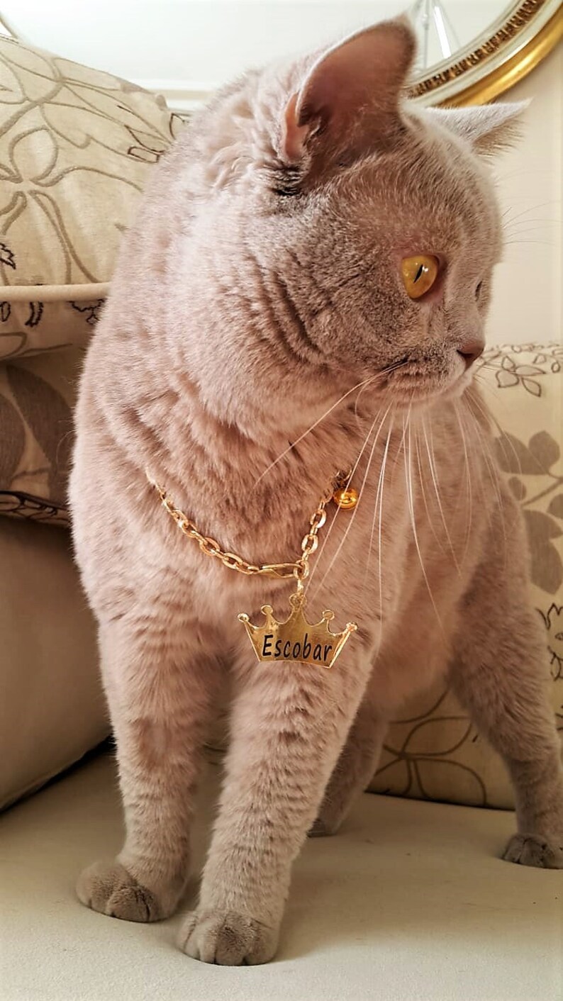 Gold Chain Pet Collar With Crown Name Tag, Gold Cat Collar, Custom Pet ...
