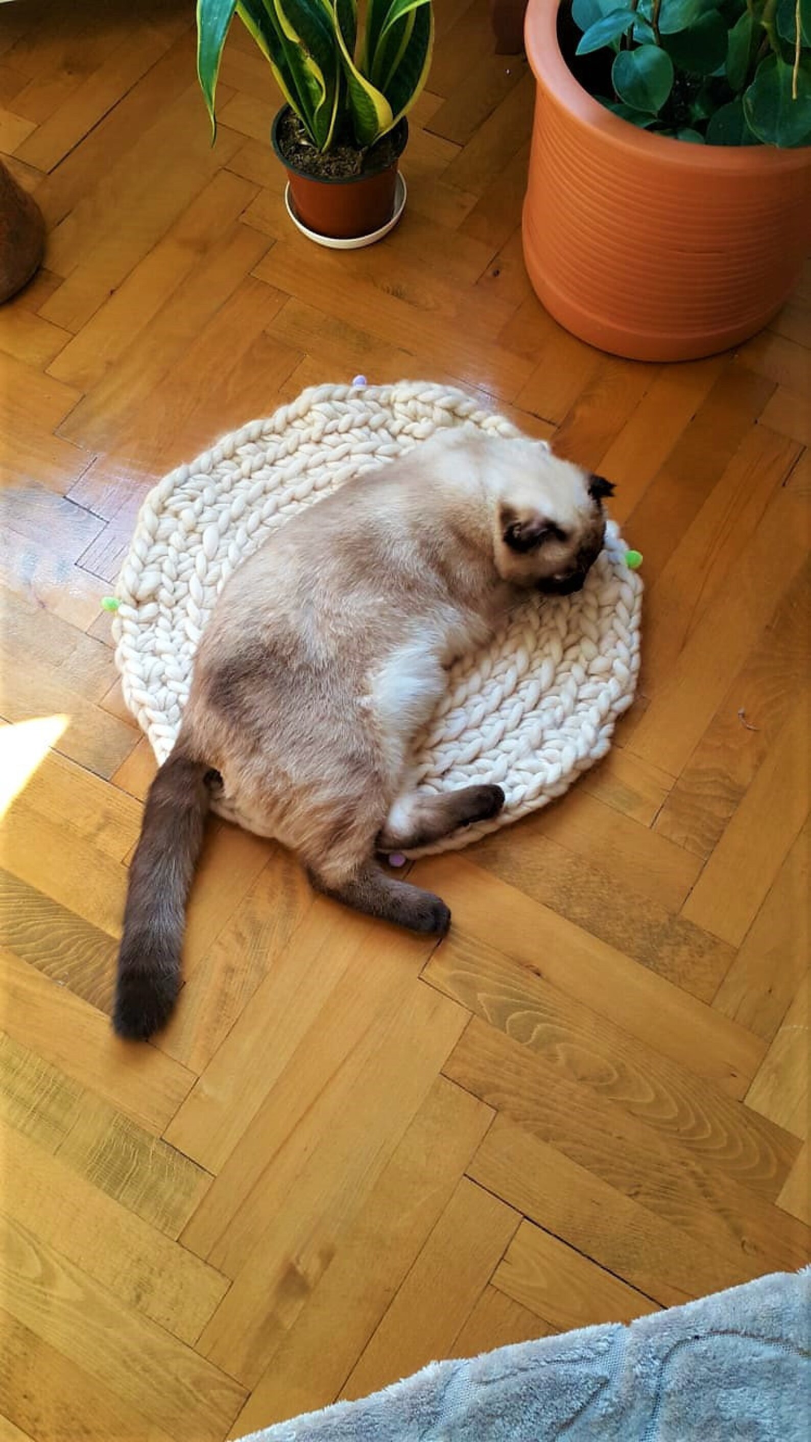 Pure Wool Crochet Cat Mat With Pom Poms, Custom Made Pet Mat, Crochet ...