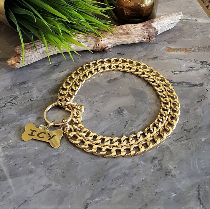 Double Gold Choke Chain & Steel Bone Name Tag Dog Chain - Etsy