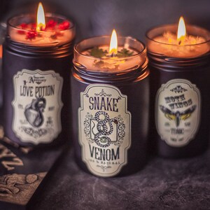 Snake Venom Potion Candle Apothecary Witch Gothic Black Halloween ...
