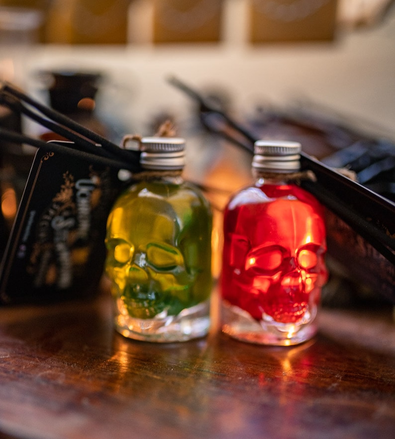 Skull Reed Diffuser Home Decor Halloween Aroma Skull - Etsy