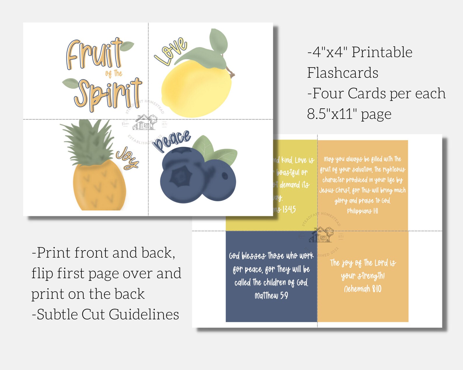 Fruit of the Spirit Printable Cards, Morning Basket Activity - Etsy