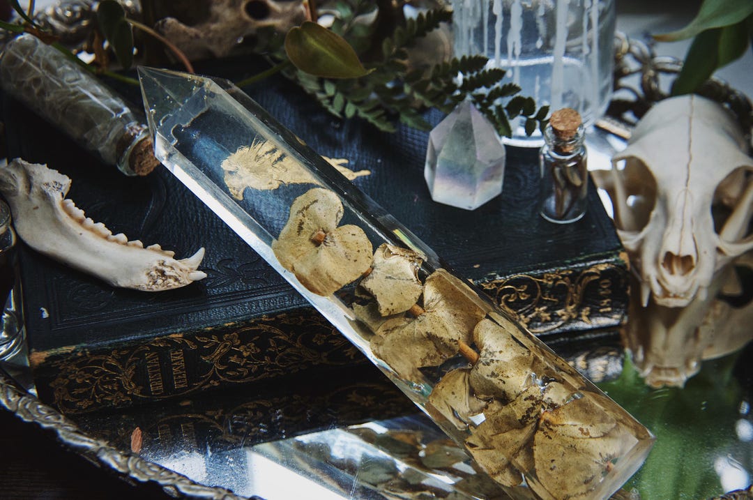 Eucalyptus Resin Crystal Point | Resin Botanical Terrarium | Resin ...