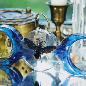 Resin Preserved Giant Wasp Wall Hang | Insect Resin Taxidermy | Lucite ...