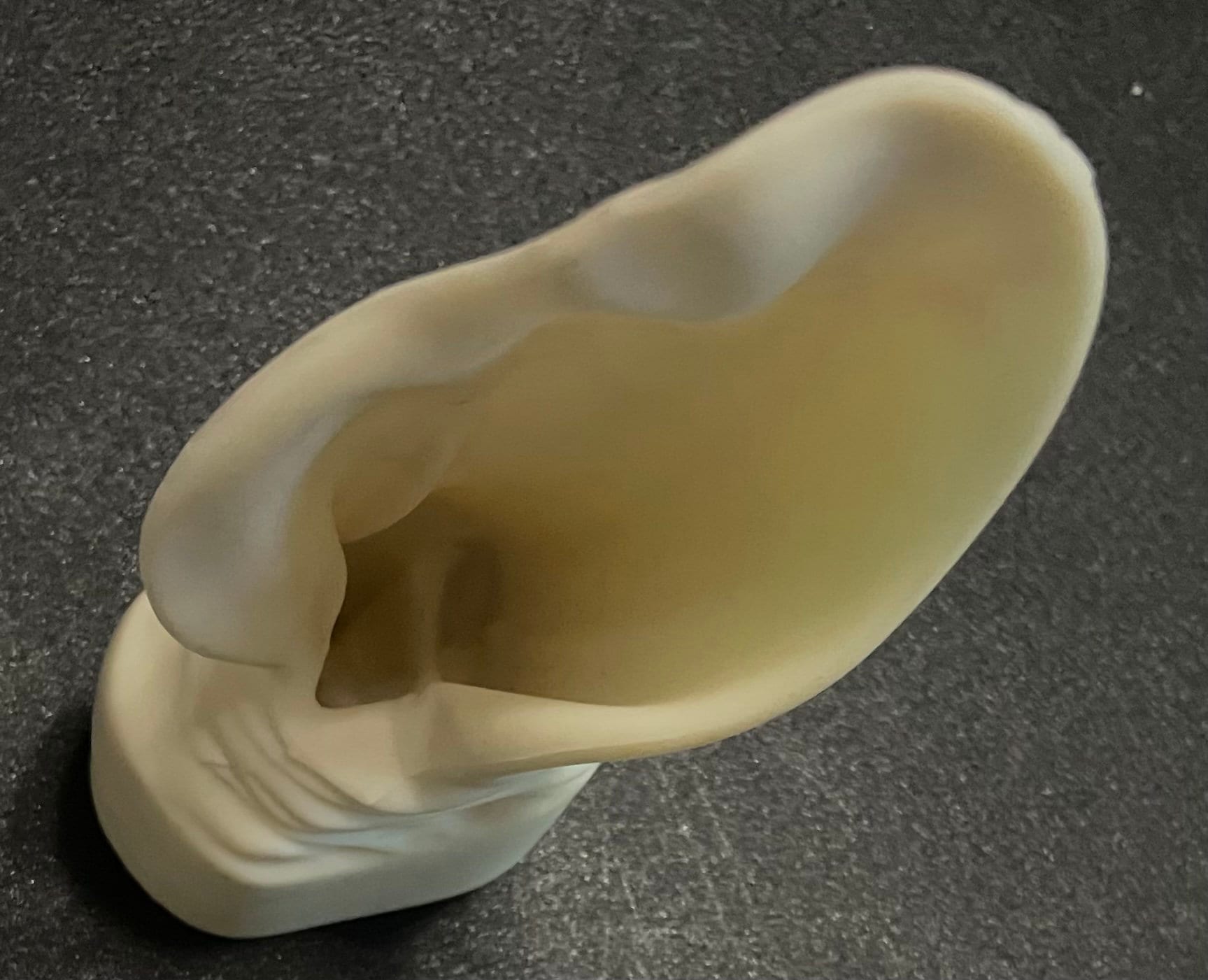 Cow Ear Model Showing Arteries and Veins Medical Diagram - Etsy Canada