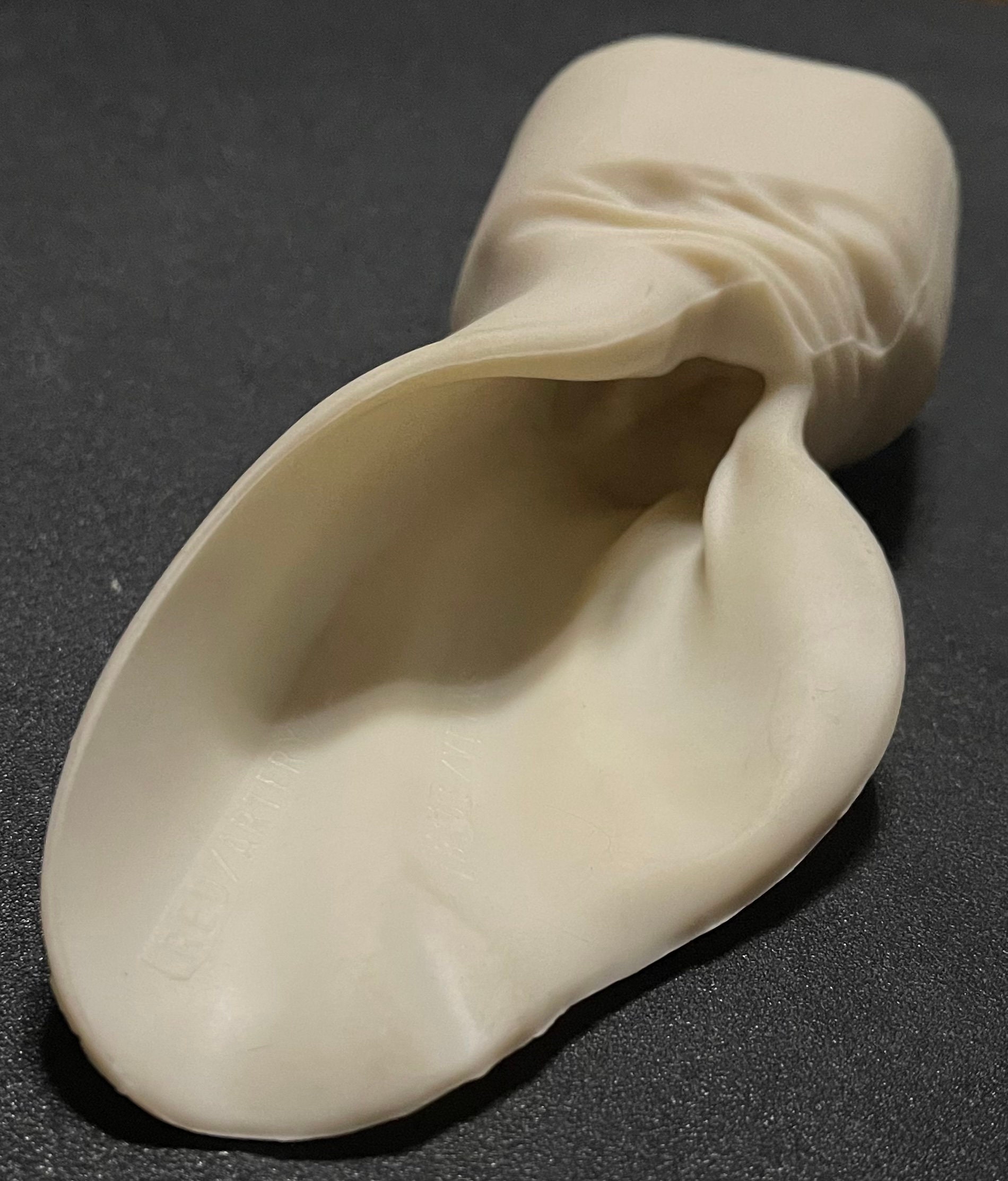 Cow Ear Model Showing Arteries and Veins Medical Diagram - Etsy Canada