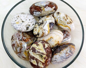 Mexican Crazy Lace - Etsy