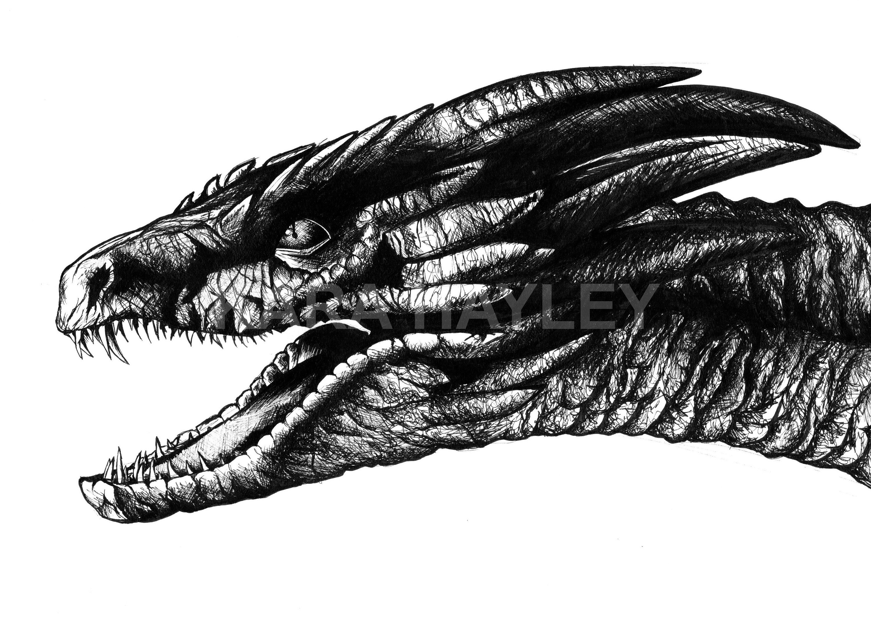 Dragon Print Drogon Game of Thrones Drawing Sketch Pen & - Etsy