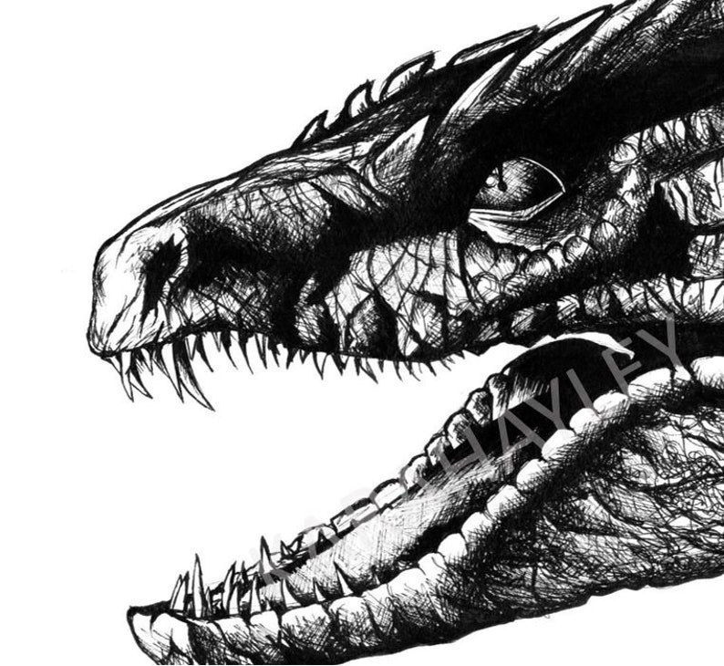 Dragon Print Drogon Game of Thrones Drawing Sketch Pen & - Etsy