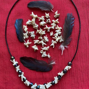 Ten Carrion Crow Spine Bones for Jewellery Crafts - Etsy