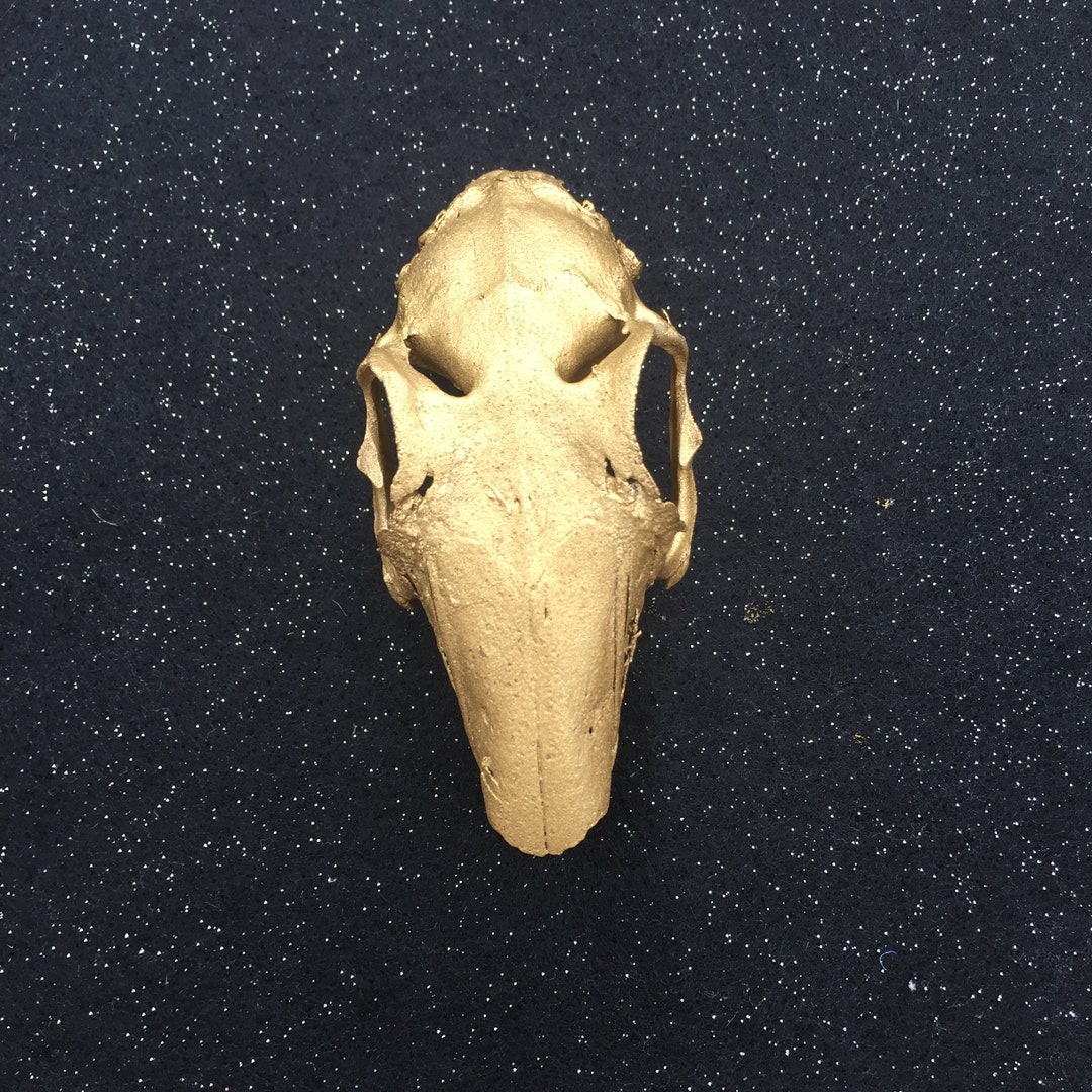 A Gold Hare Skull - Etsy