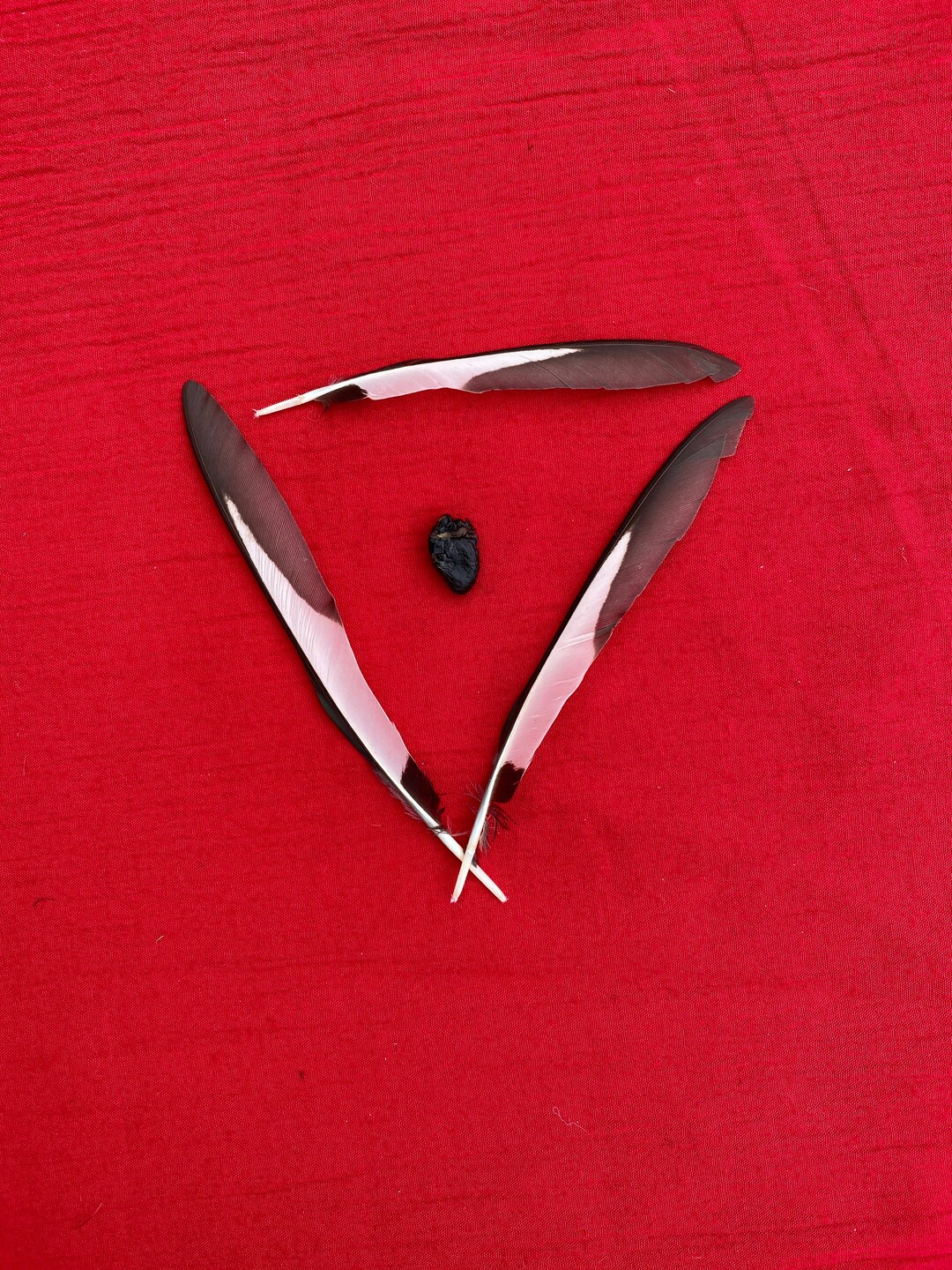 A Preserved Magpie Heart and Feathers - Etsy