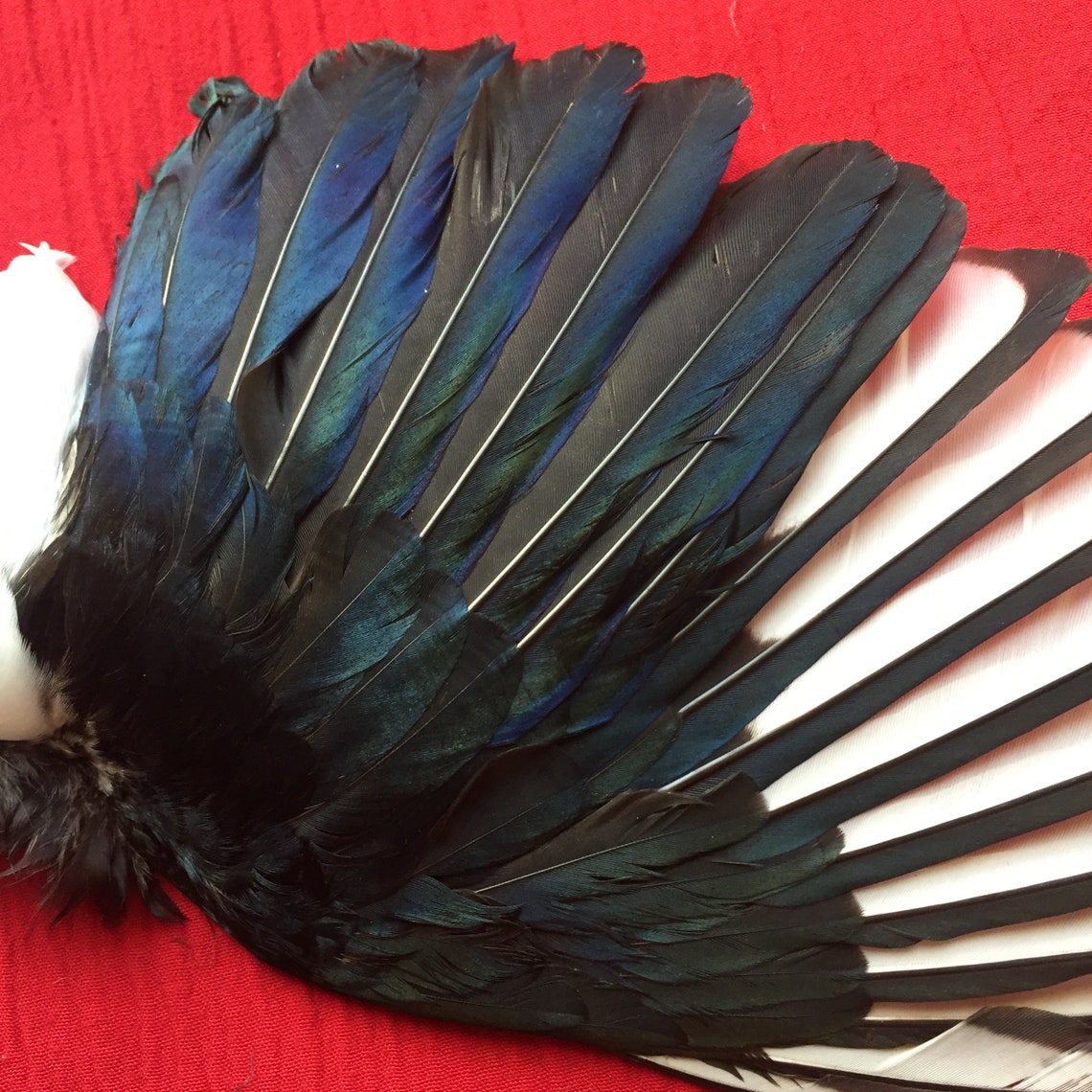 A Pair of Magpie Wings Perfect for Crafting. - Etsy