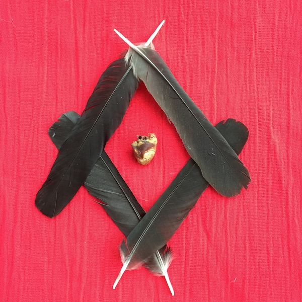 Crow Heart - Etsy
