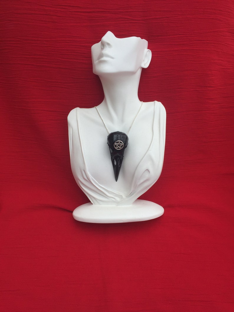 Real Crow Skull Pentagram Bones - Etsy