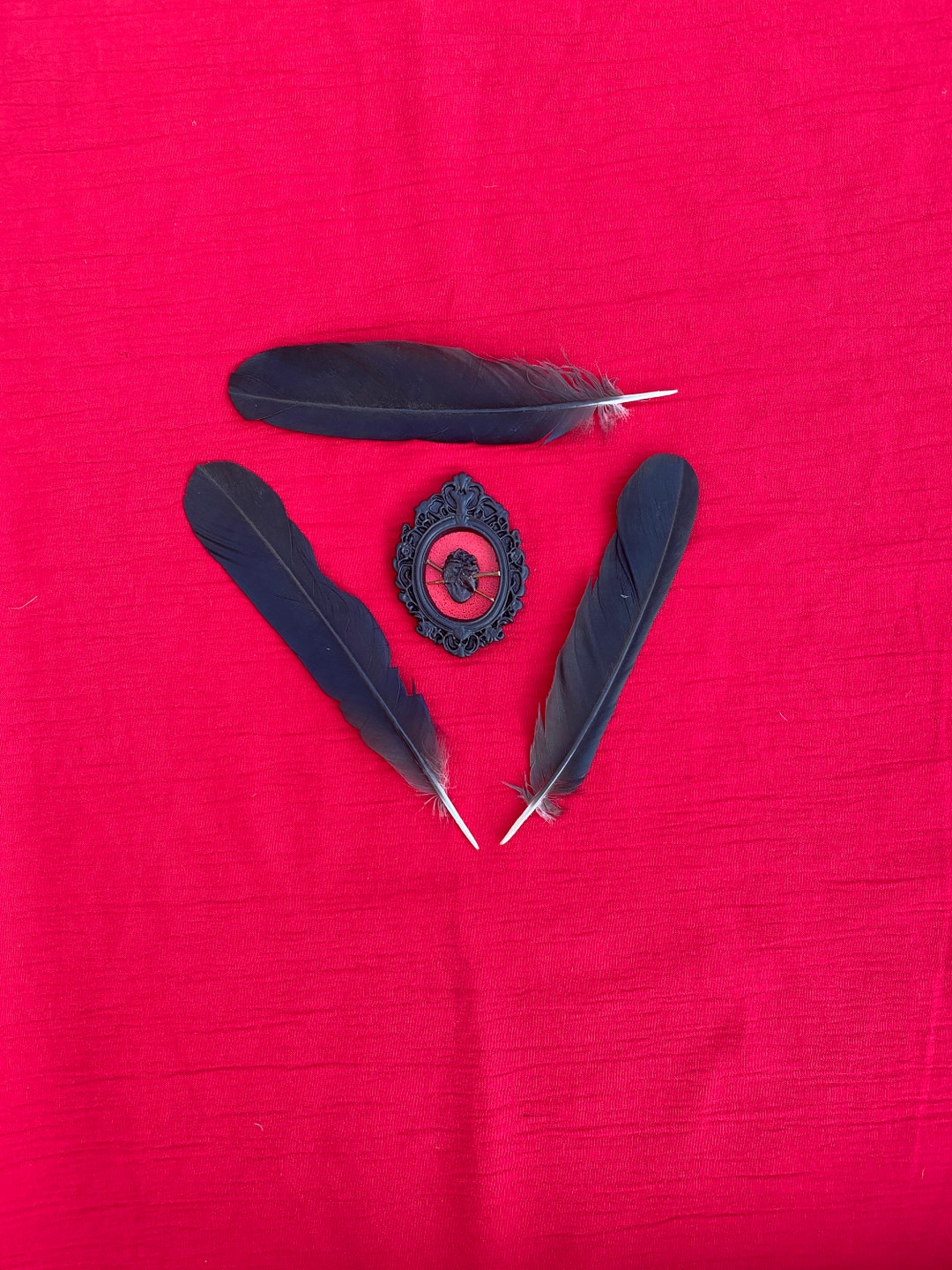 A Framed Crow Heart Pierced With Blackthorns - Etsy