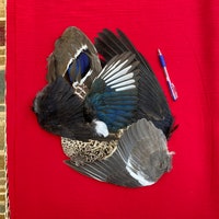 Artificial Bird - Etsy