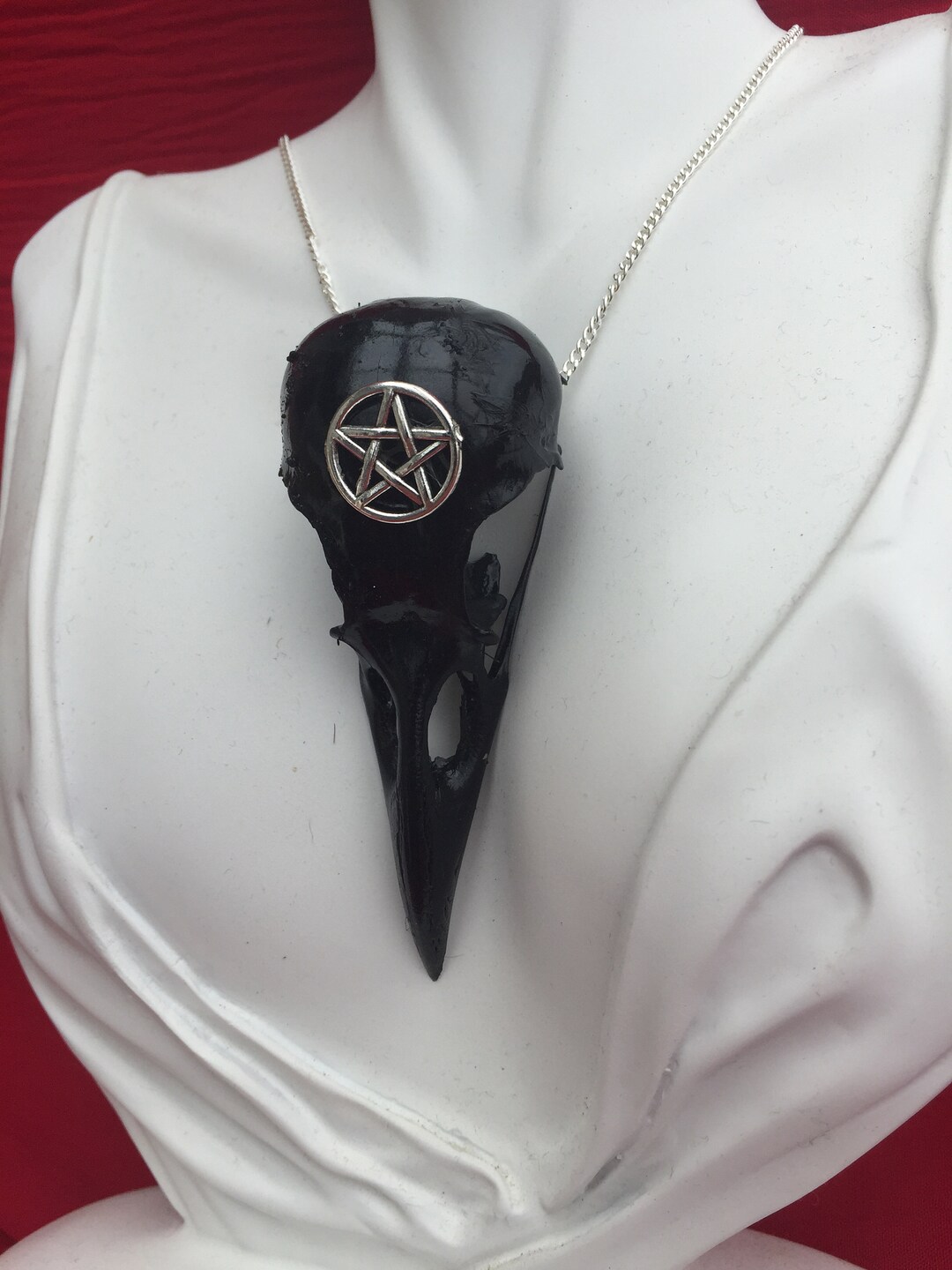 Real Crow Skull Pentagram Bones - Etsy