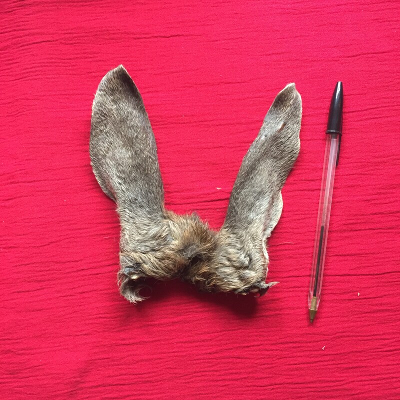 Faun Ears - Etsy