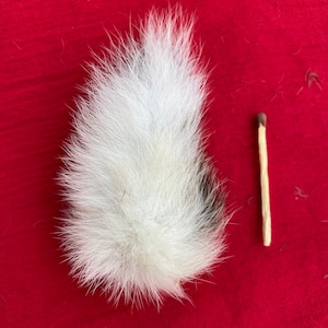 A Single Wild Rabbit Tail - Etsy UK