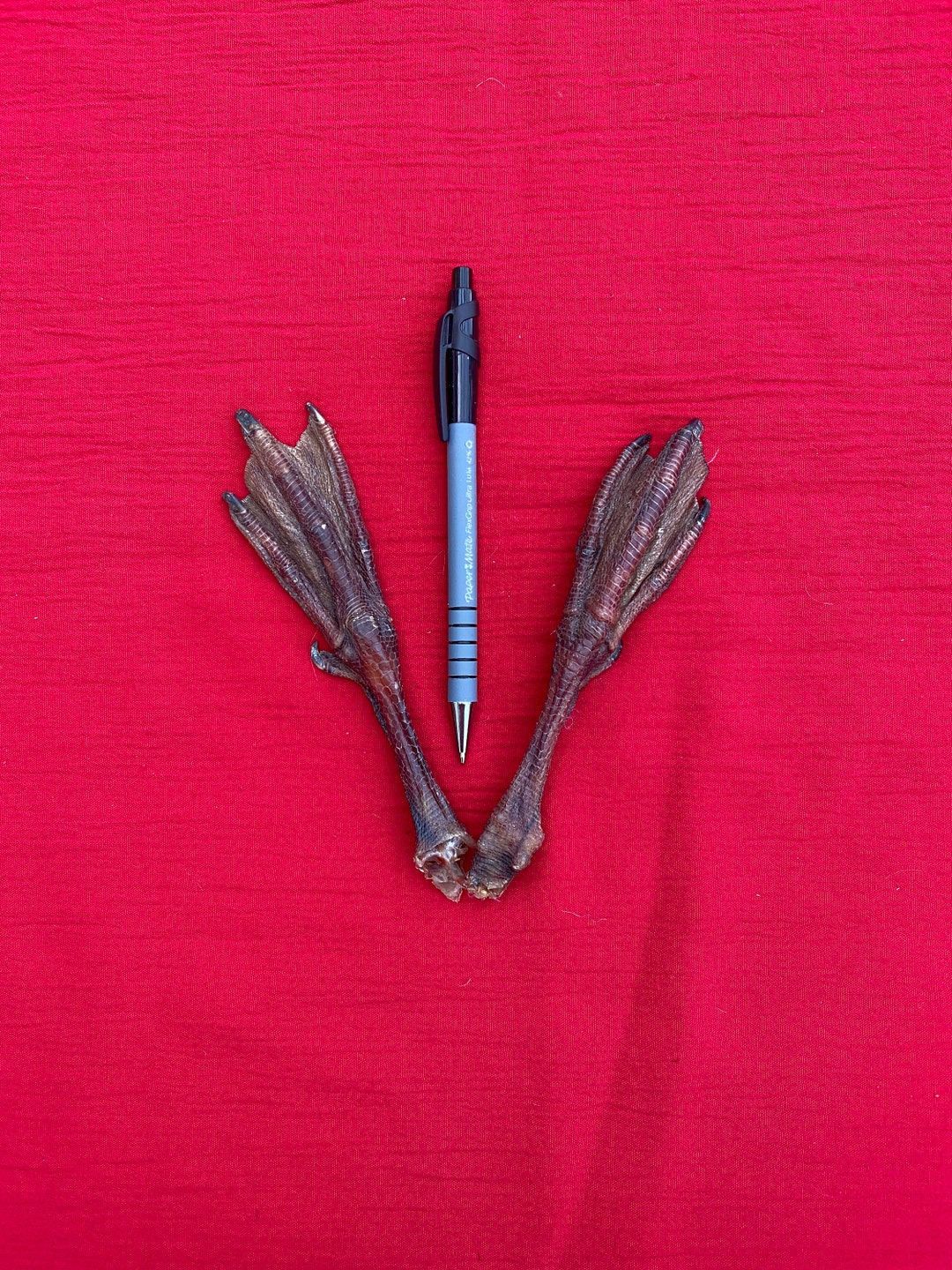 A Pair of Wild Geese Feet Goose Feathers Wildfowl - Etsy