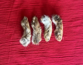 Rabbit Feet 6 Matched Pair Rear Feet 12 Total Feet - Etsy