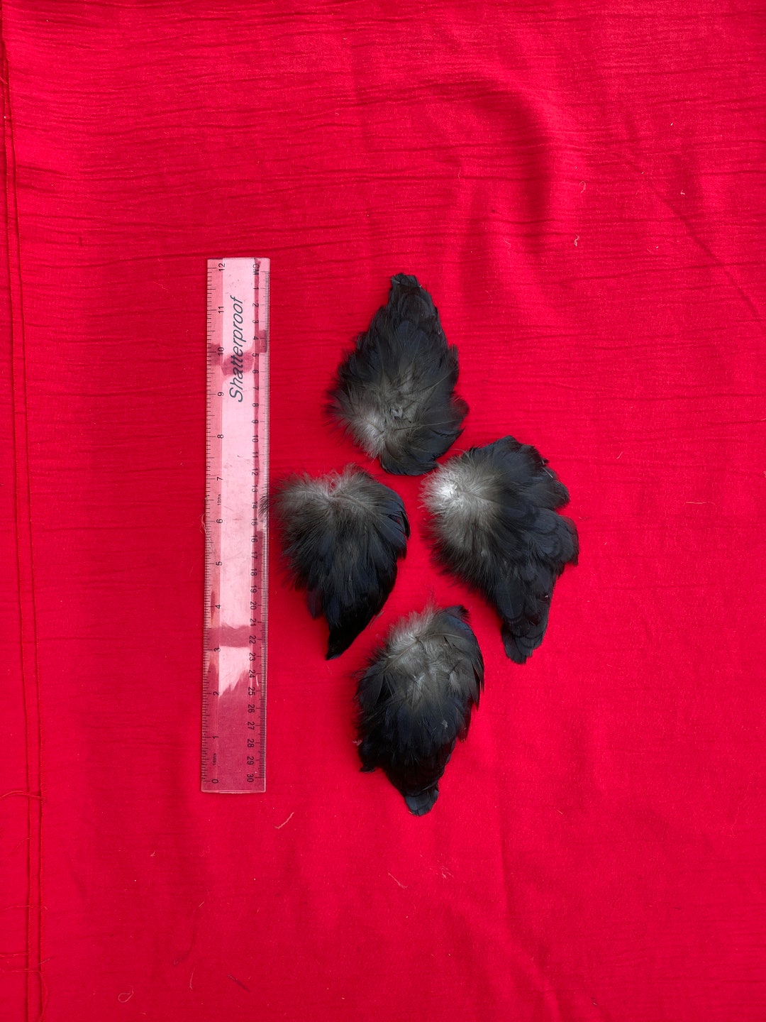 Four Crow Feather Triangles - Etsy