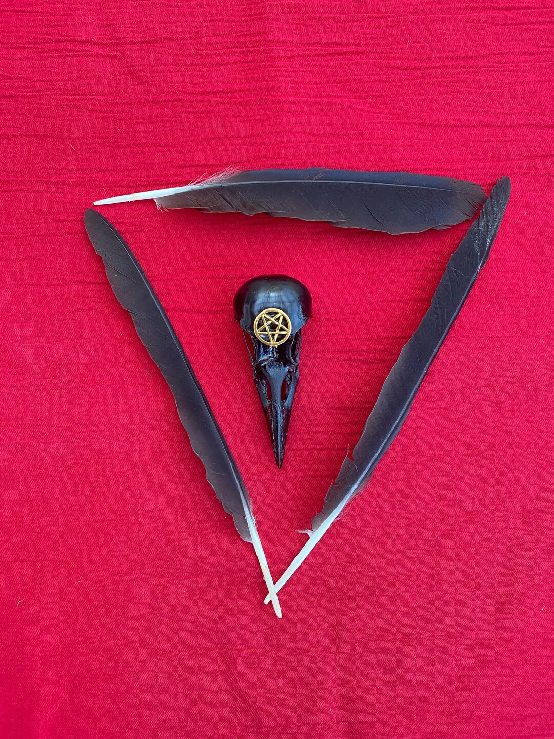 Crow Skull Gold Pentagram Raven Animal Bones Witchcraft Protection - Etsy