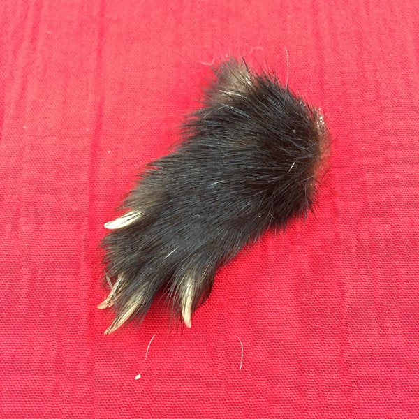 Polecat - Etsy