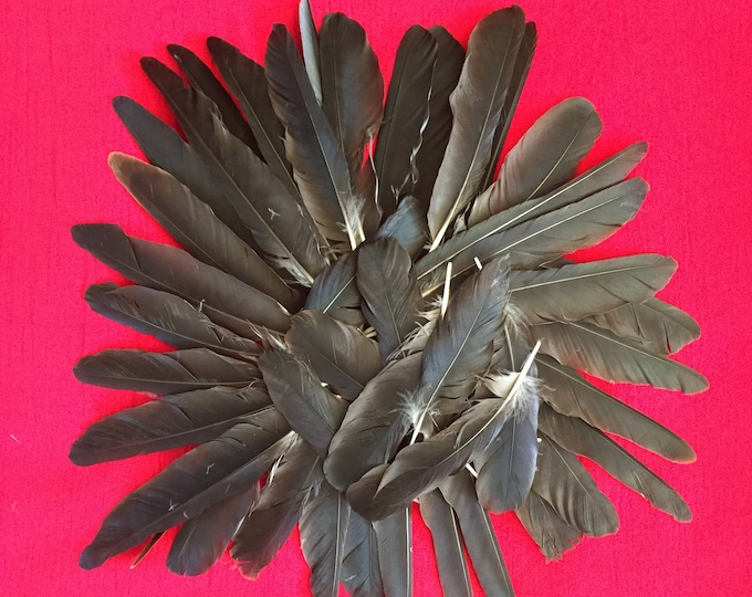 50 Assorted English Carrion Crow Wing Feathers - Etsy