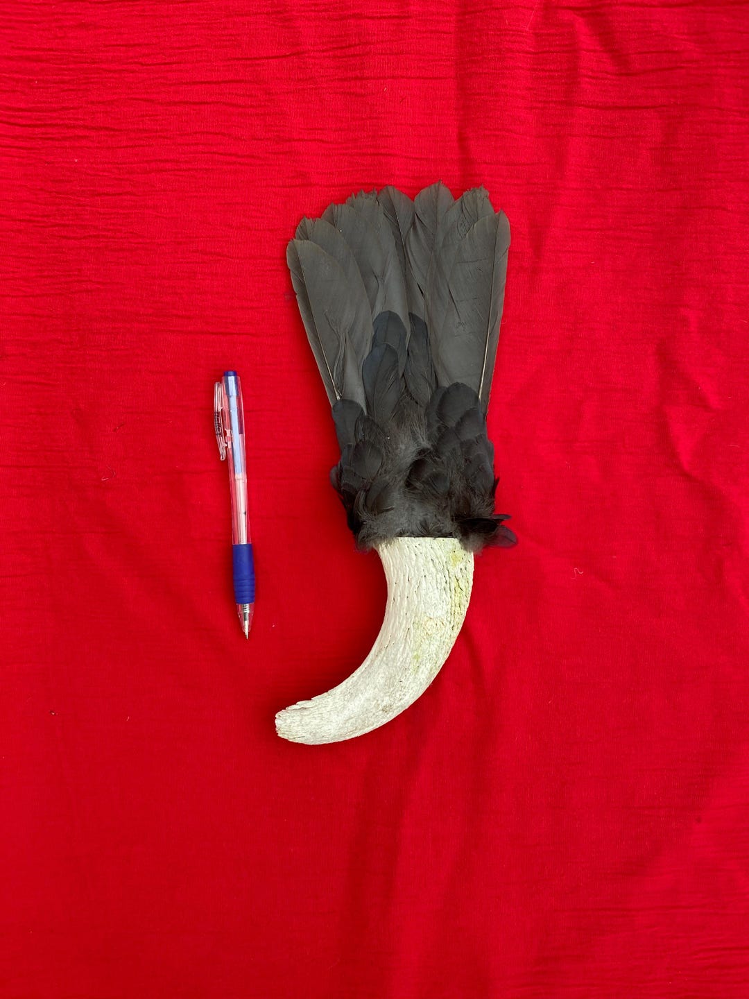 Crow Feather Goat Horn Smudging Fan Mystical Witchcraft Fortune Sage - Etsy