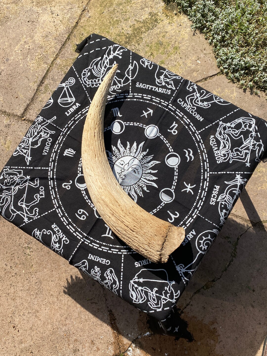 Large Bull Horn Core Bone - Etsy